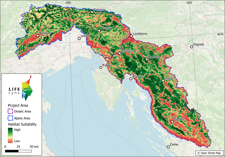 Update of the Habitat suitability model - Life lynx