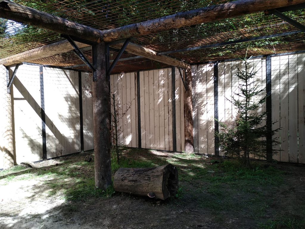Lynx enclosure is ready! - Life lynx