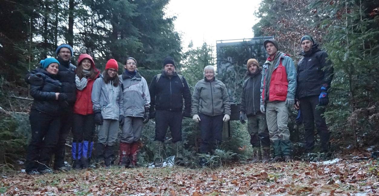 Setting box traps in Romania - Life lynx