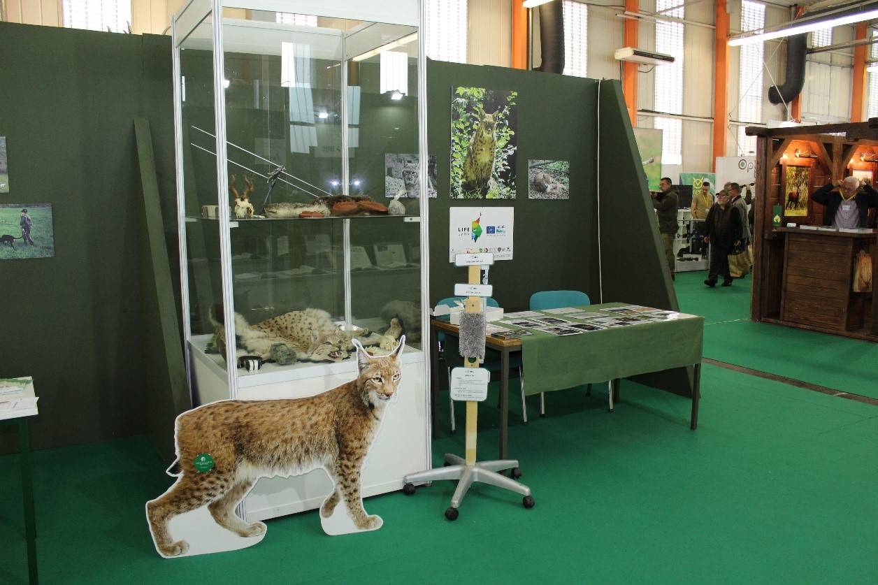 LIFE Lynx project presentation at International Hunting and Fishing ...
