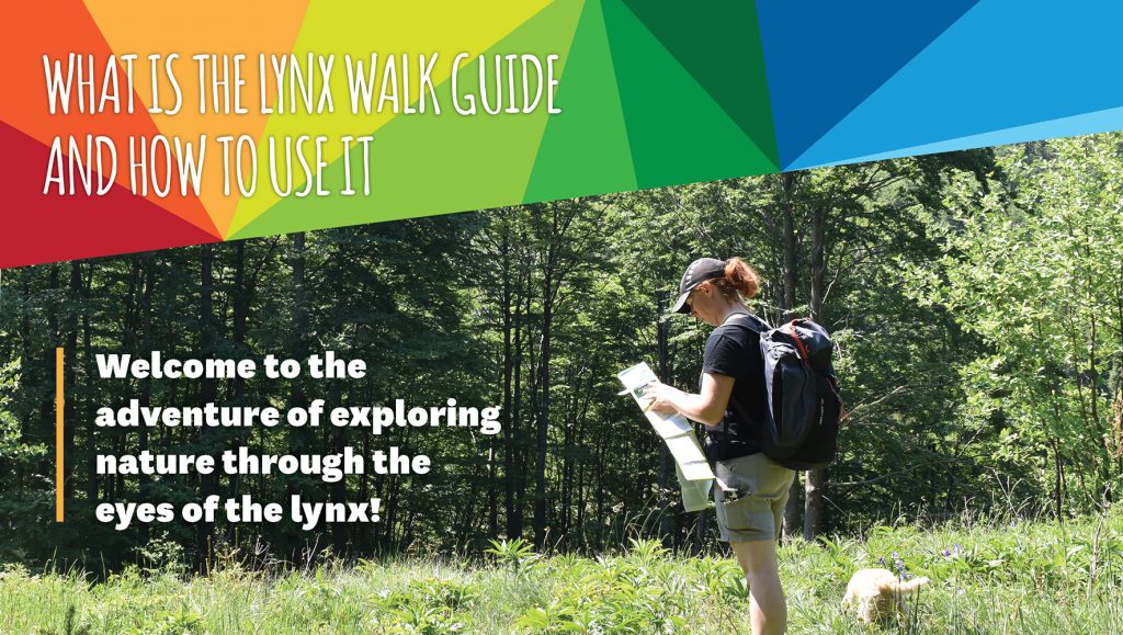 What is the Lynx Walk Guide and how to use it - Life lynx