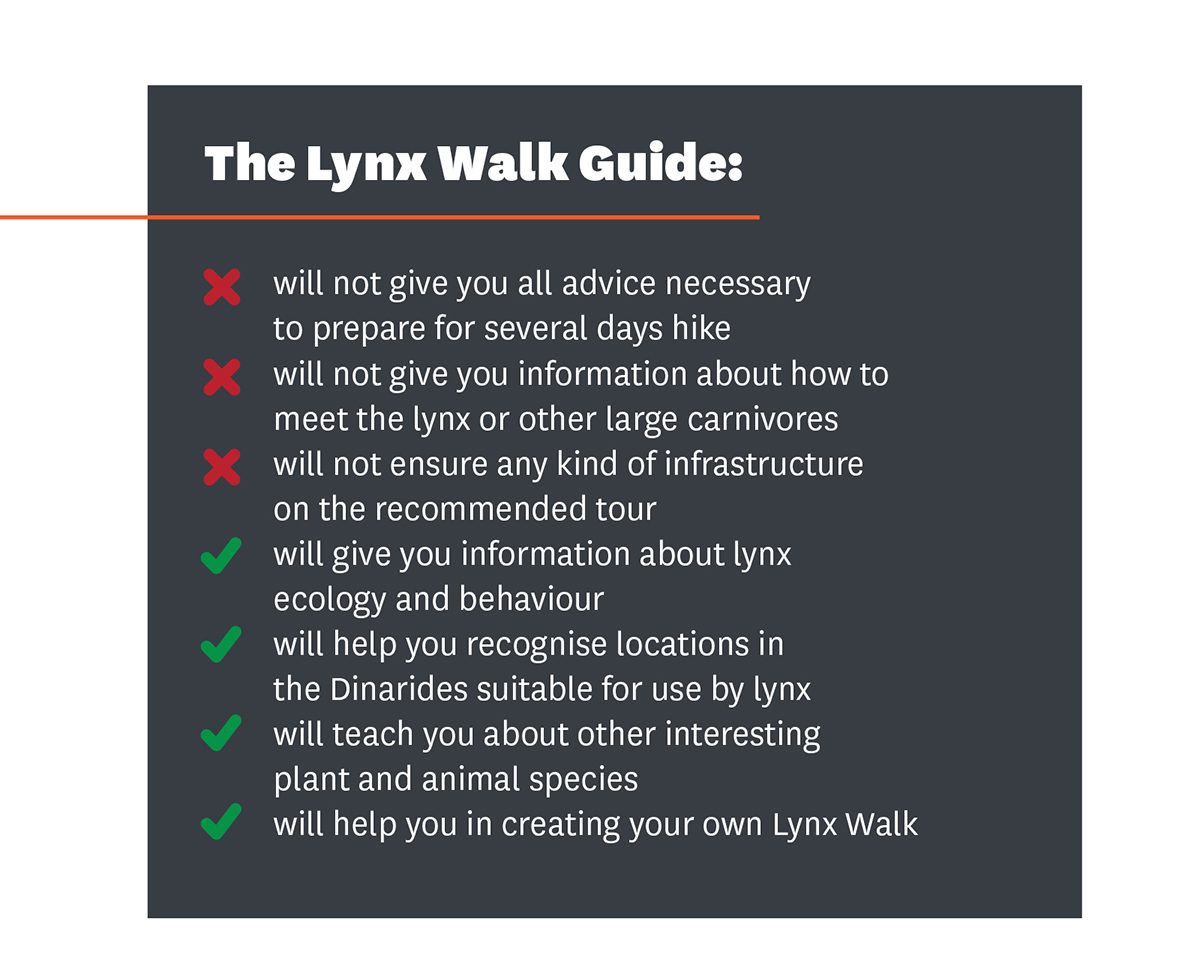 What is the Lynx Walk Guide and how to use it - Life lynx