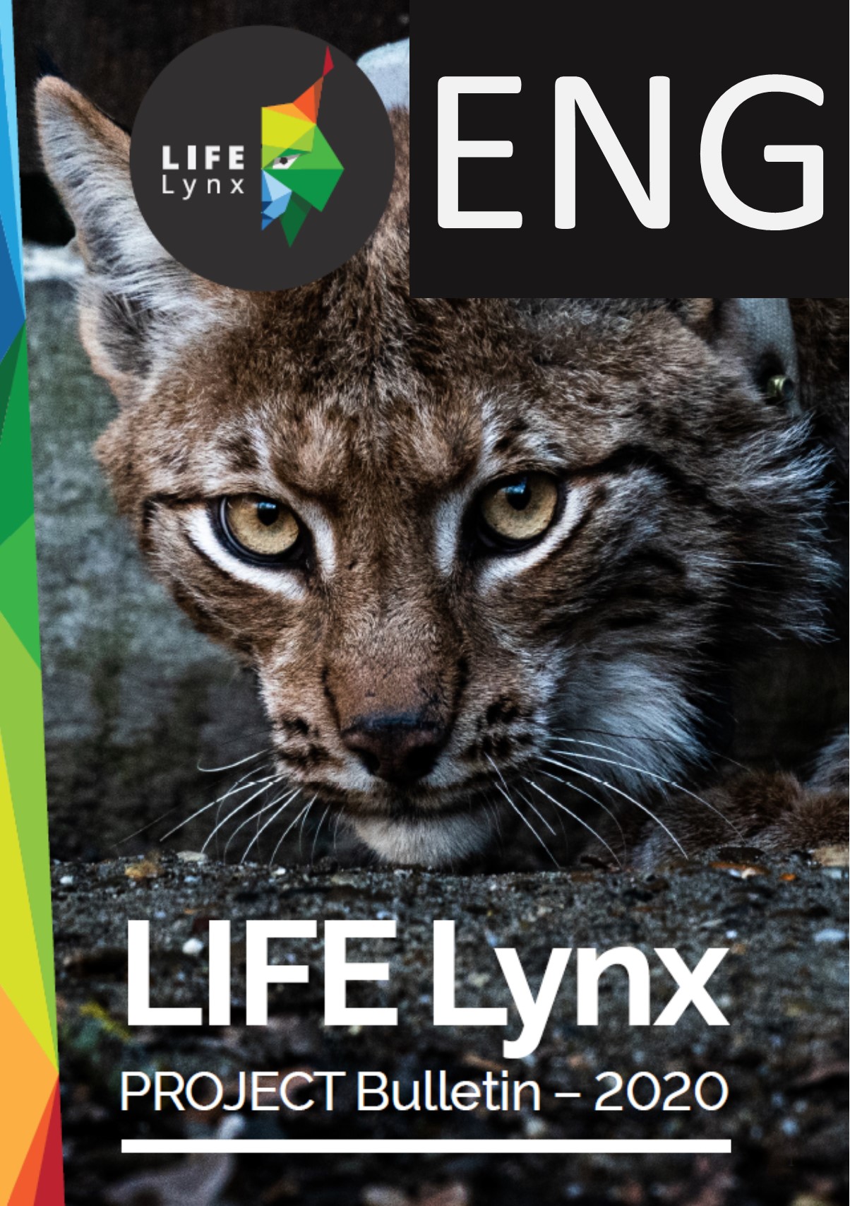 Second issue of the LIFE Lynx project bulletin available online - Life lynx