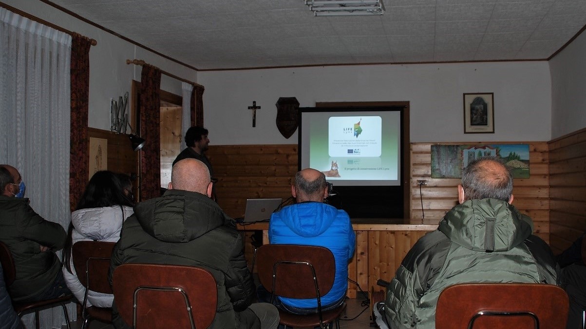 The interest of hunters in lynx is growing - Life lynx