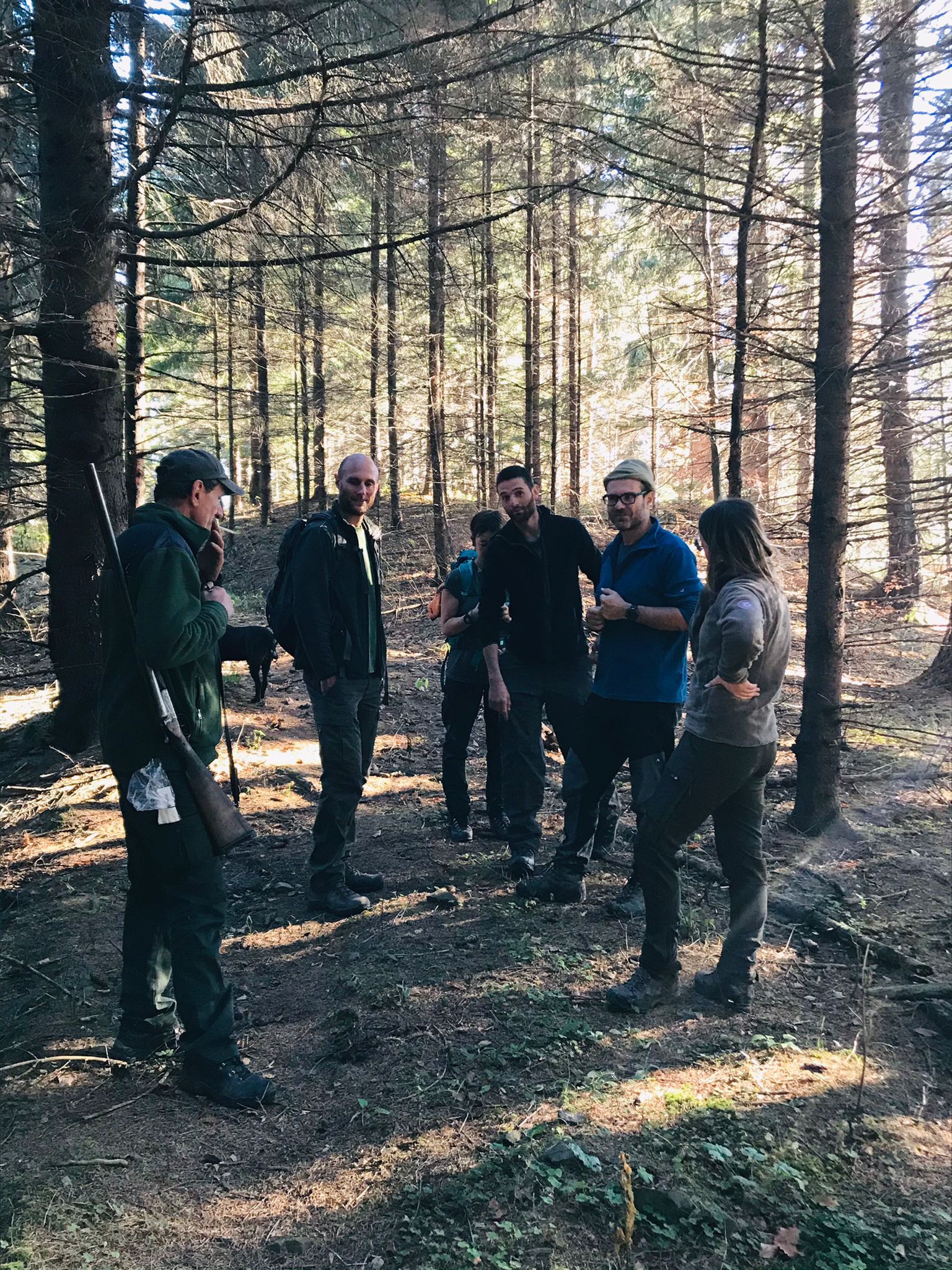 The last season of capturing lynx in Romania in the scope of the LIFE ...