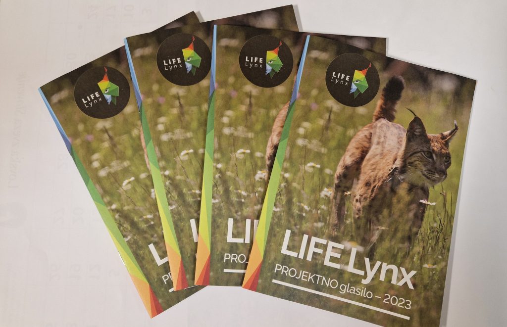 Third LIFE Lynx bulletin is ready! - Life lynx