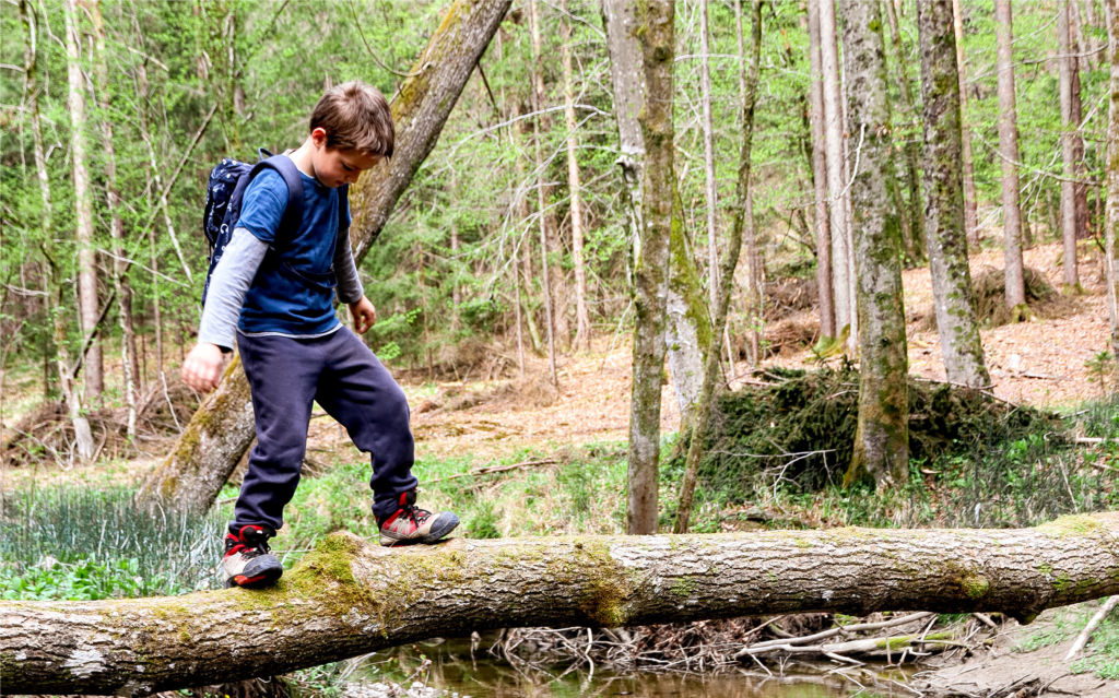 How can we play with the lynx? A collection of games for children ...