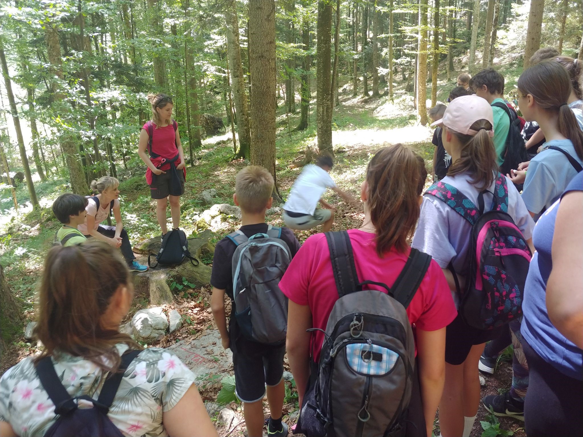 A teachers’ views on their involvement in the LIFE Lynx project - Life lynx