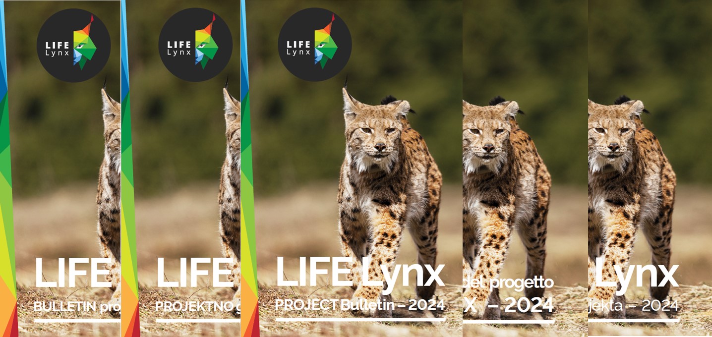 Fourth LIFE Lynx project Bulletin - Life lynx
