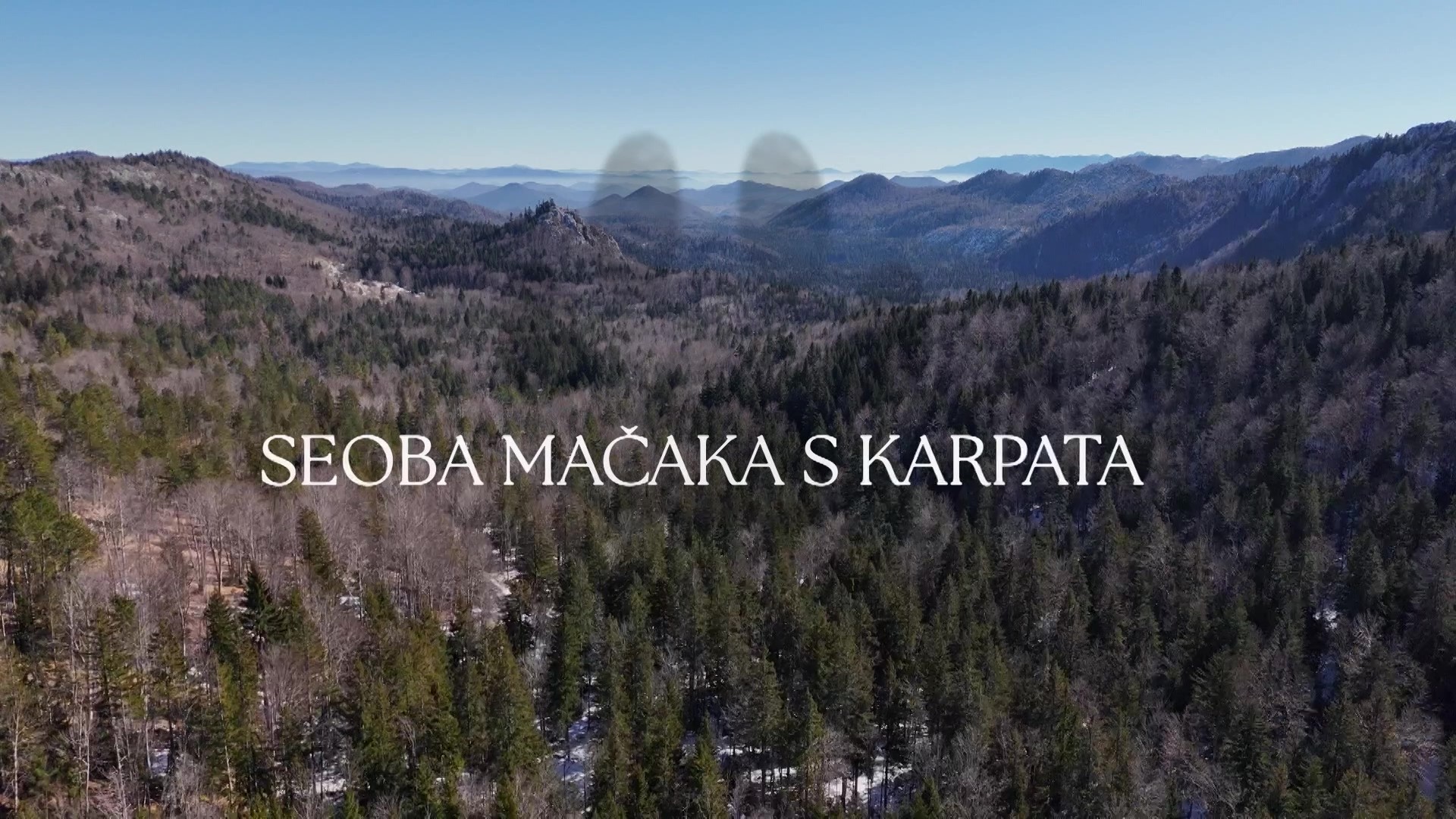 A documentary film about the LIFE Lynx project in Croatia - Life lynx