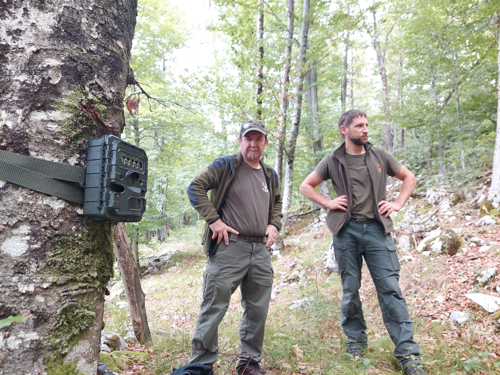 Hunter-engaged monitoring of the Eurasian lynx during the reinforcement ...