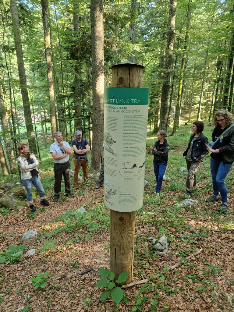 Gathering with the LIFE Lynx team – celebration of the International ...